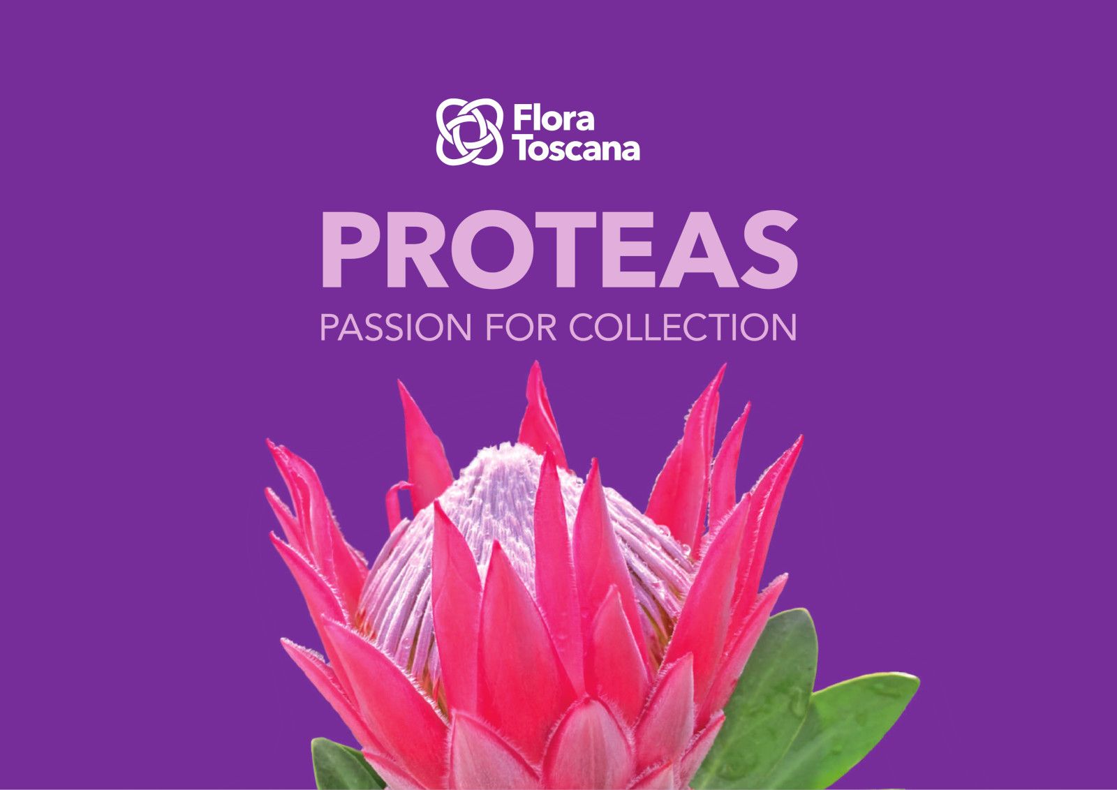 Download - Flora Toscana