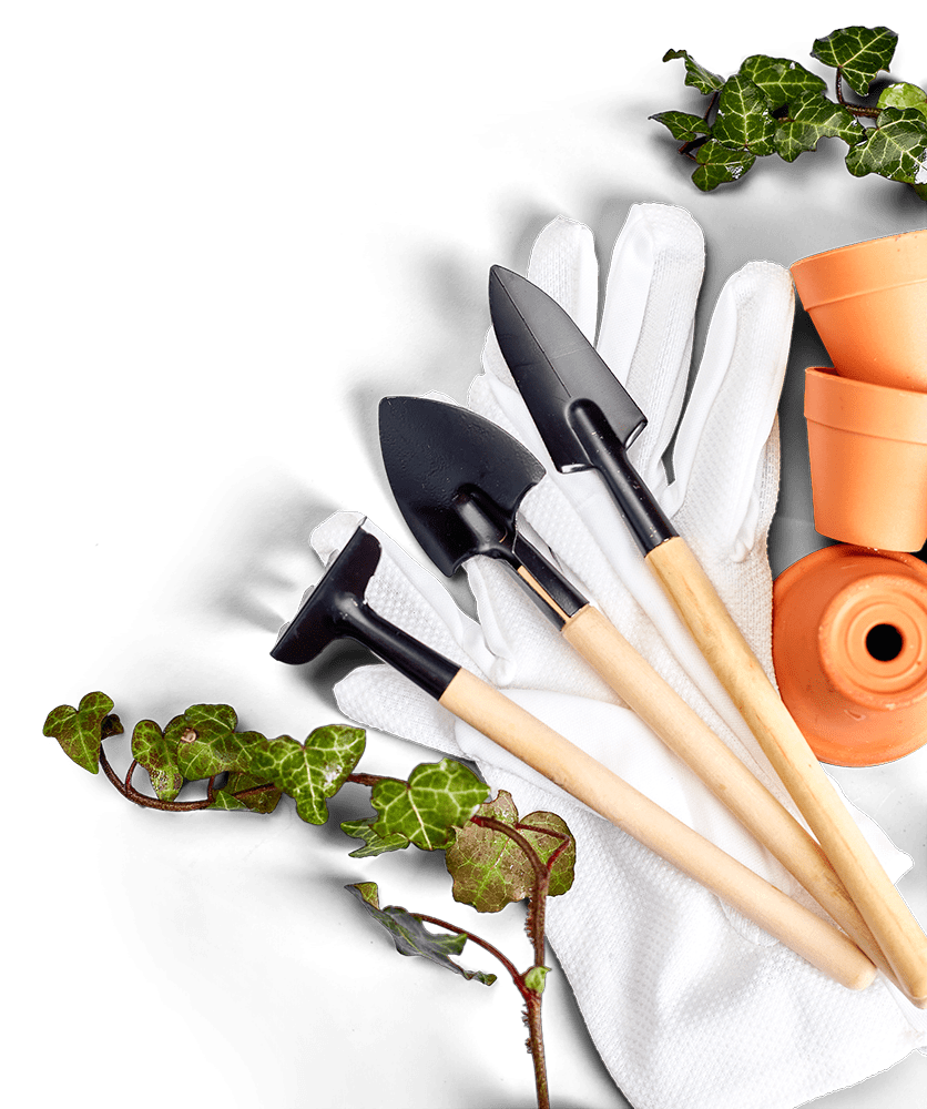 Suppliers of agriculture and horticulture products - Flora Toscana