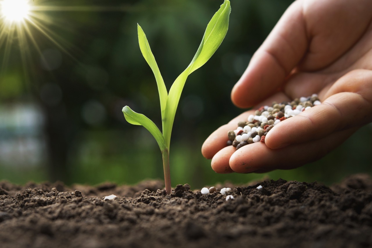 Fertilisers for plant growth and nutrition - Flora Toscana