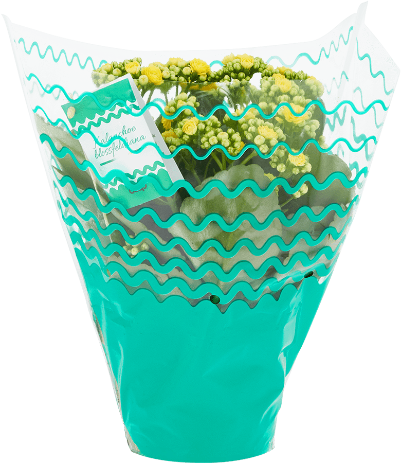 Packaging sleeves for flowers and plants - Flora Toscana